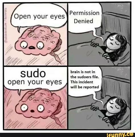 Permission Denied Open Your Eyes Sudo Brain Is Not In The Sudoers File