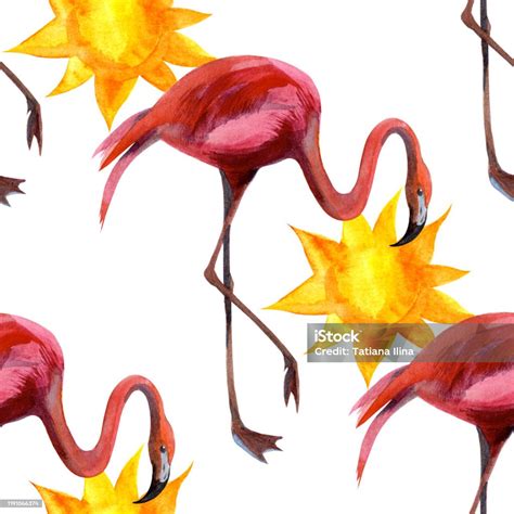 플라밍고 손으로 그리기 장식 배경 수채화 원활한 패턴 섬유 천 벽지 스크랩북 인쇄 0명에 대한 스톡 벡터 아트 및 기타 이미지 0명 관광 꽃 식물 Istock