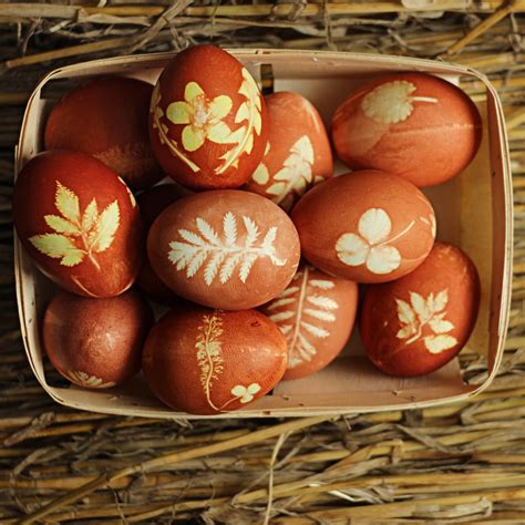 Natürlich Eier Färben Mit Zwiebelschalen Annabelle