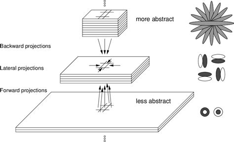 1 Neural Abstraction Pyramid Architecture The Network Consists Of