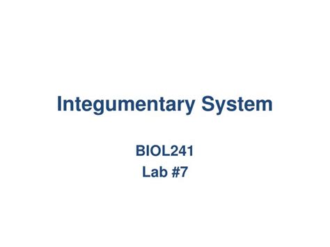 Ppt Integumentary System Powerpoint Presentation Free Download Id