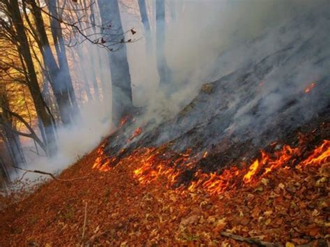 Пожарът на границата с Гърция се разраства фронтът му вече е 20 километра Видео Flashnews