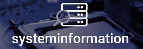 How Do I Quickly Retrieve System Information On The Node Server By Aesssooooome