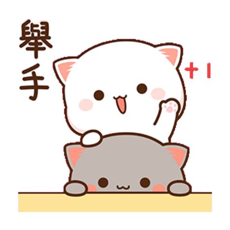 Sticker Maker 蜜桃貓11 Cute Cat  Cute Anime Cat Cute Love 