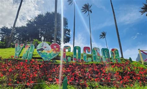 Scarlett Model On Live Sex Cam Webcam Chat Rabbitscams