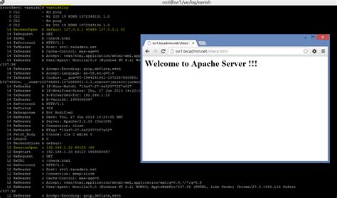 Setup Varnish On Centosrhel 56 With Apache Tecadmin