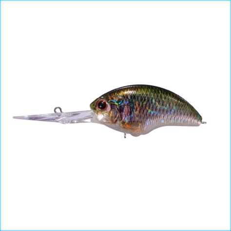 Ever Green Blitz Ex Dr Rpo02 Real Bitterling • Fanatic Pesca