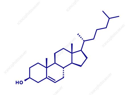 Cholesterol Molecule Illustration Stock Image F Science Photo Library