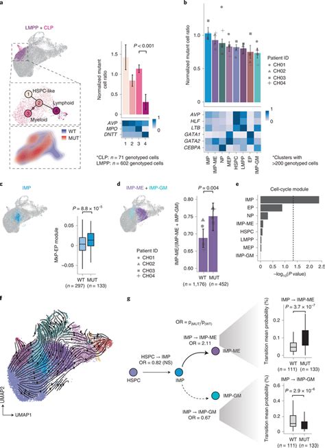 Dnmt3a R882 Mutated Ch Cells Demonstrate Distinct Differentiation