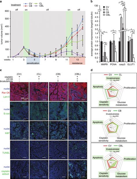 Intratumoral Injection Of Cisplatin Increases The Efficacy Of Download Scientific Diagram