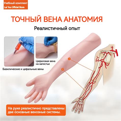 Тренажер хирургический 1шт купить на Ozon по низкой цене 1946074723