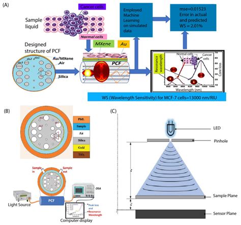 Advancing Healthcare Synergizing Biosensors And Machine Learning For Early Cancer Diagnosis Pmc