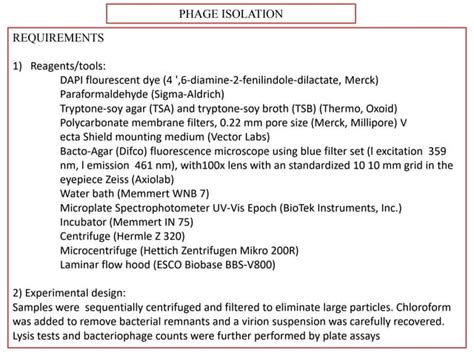 Protocol For Phage Isolation Flowchart Ppt