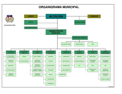 Plantilla Editable De Organigrama Organigrama Organigrama De Una