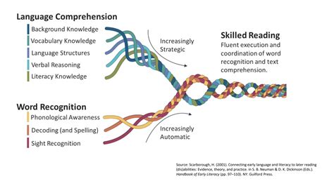 What Is Orthographic Mapping And How Does It Link To Comprehension