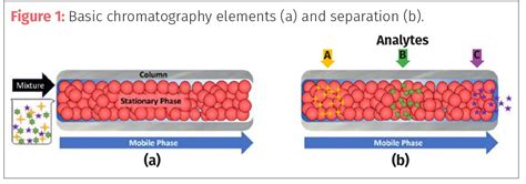 Chromatography Stationary And Mobile Phase