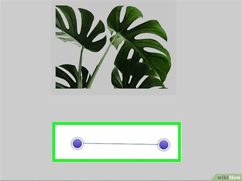 How To Insert A Line In Word 4 Quick And Easy Methods