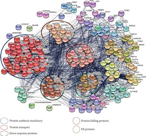 A Visualization Of Proteinprotein Interaction Network Of Download Scientific Diagram
