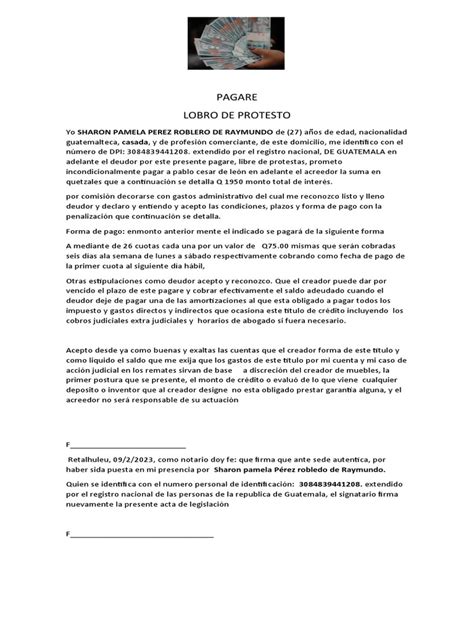 Carta De Pagare Pdf