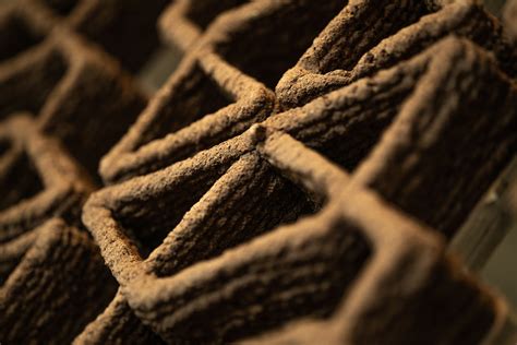 Galeria De Fabricação Digital E Biomateriais Na Arquitetura Fusão De Identidade E Tecnologia 10