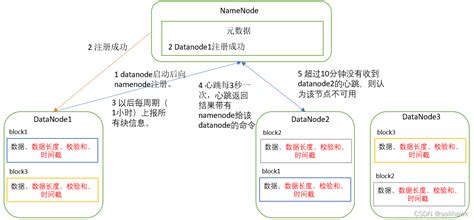 分布式文件系统hdfs架构解析hdfs体系结构之间的关联 Csdn博客