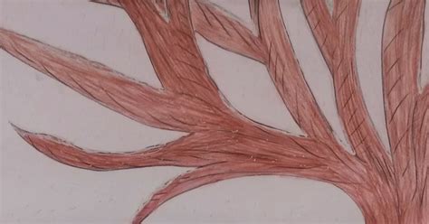 ნეკერჩხლის წითელი ფოთოლი სურათების გალერეა