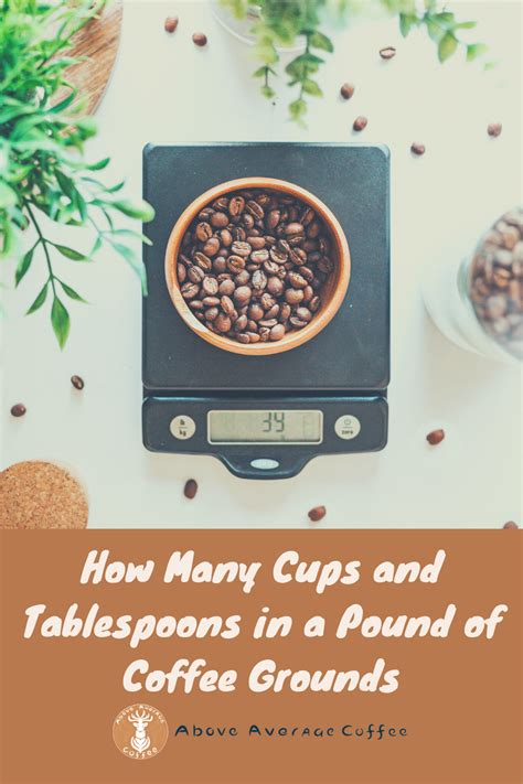 How Many Cups Of Beans In One Pound Irvin Has Thornton
