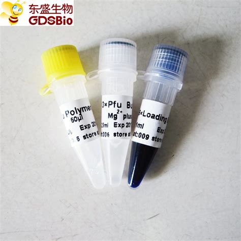 High Fidelity Pfu Dna Polymerase With Pcr Buffer And Loading Buffer China Pcr Amplification