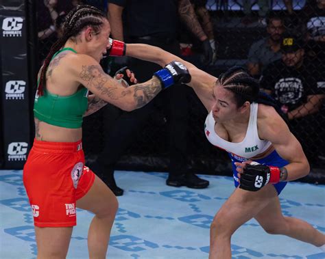 Combate Global Espectaculares Combates De Artes Marciales Mixtas Mma