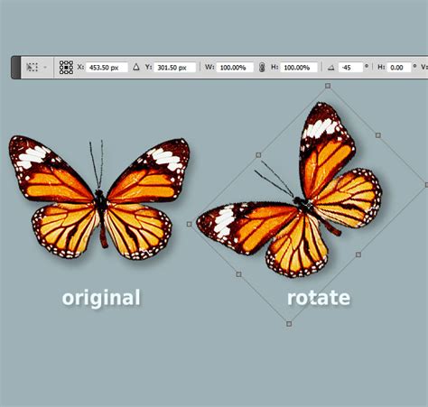 Rotate In Photoshop Basic Tutorial Photoshop Tutorial PSDDude