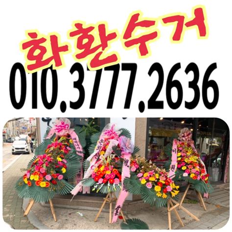 화분수거 죽은나무버리기 강서구 강남 종로 용산 성동 광진구 동대문 영등포 구로구 관악구 송파구 강동구 네이버 블로그