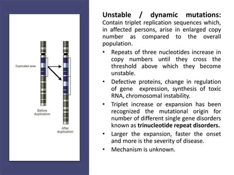 Concept Of Mutation And Its Classification Pptx Genetics Science