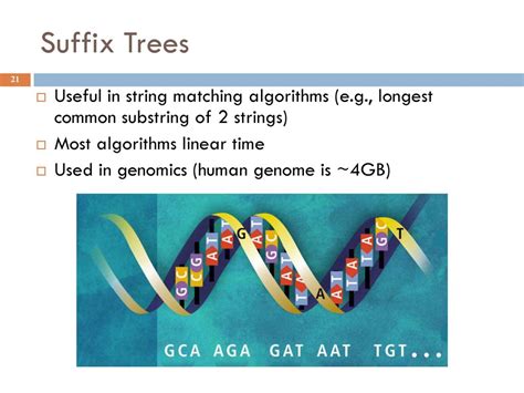 Trees Lecture 9 Cs2110 Fall Ppt Download