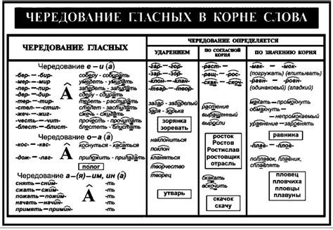 Задание №9 ЕГЭ по русскому Правописание гласных в корне слова 🐲 СПАДИЛО РУ