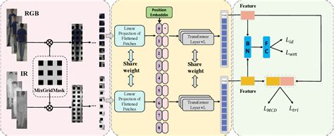 Figure 2 From Cross Modality Transformer With Mixed Data Augmentation Learning For Visible