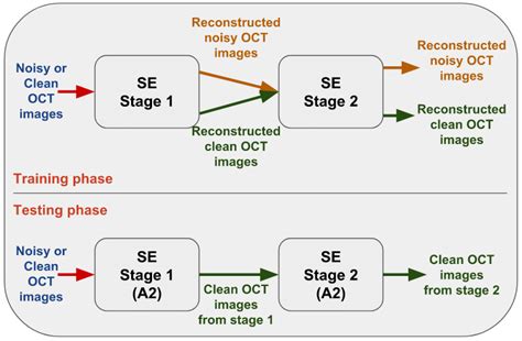 3 The Block Diagram Of Stacked Shared Encoder Stse Download Scientific Diagram