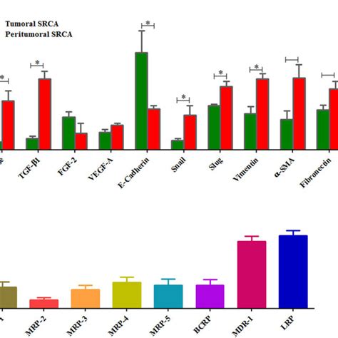 Mrna Expression Of Emt Markers Stem Cell Markers As Well As Cell Cycle