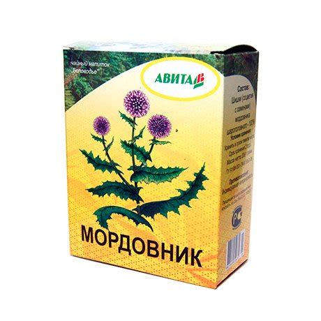 Мордовник шишки