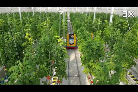 Video Dilshan Madhusanka Posted On Linkedin