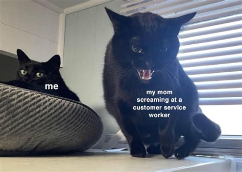 Black Cat Memes Angry Black Cat Meme  Angry Black Cat Meme