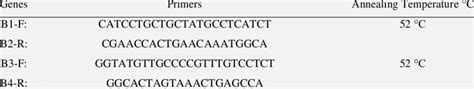 Primers Are Used In Nested Pcr For The Detection Of Hbv Download Scientific Diagram