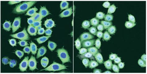 Single Cell Multi Omics Building Relationships AlphaThera