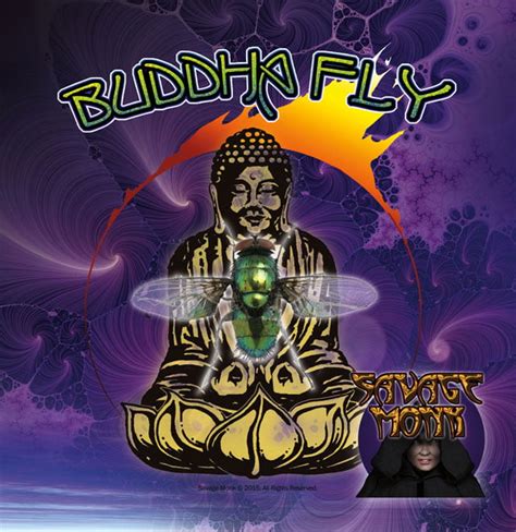 Album Cover Designer Lp Cd Dvd Jacket Artwork Infinitee Designs
