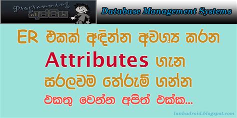 Dbms Sinhala Tutorial Part 03 Er Diagram Ii Attributes ~ Lankadroid Programming Kuppiya