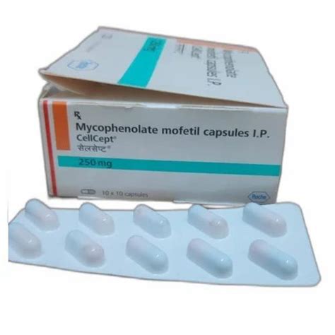 250mg Cellcept Mycophenolate Mofetil Capsule At ₹ 300 Box इम्यूनोसप्रेसिव दवा In New Delhi