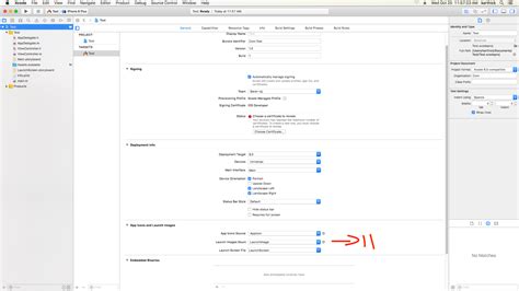 Ios Seeing Black Bars At The Top And Bottom Of The Iphone X Simulator