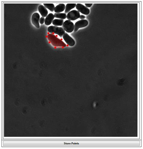 Plotting Overlay Inside A Gridcolumnrow Not Working Mathematica