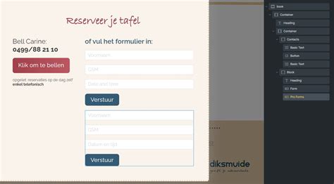 Pro Form Is Not Shown On Popup Bug Reports Bricksforge Community Forum