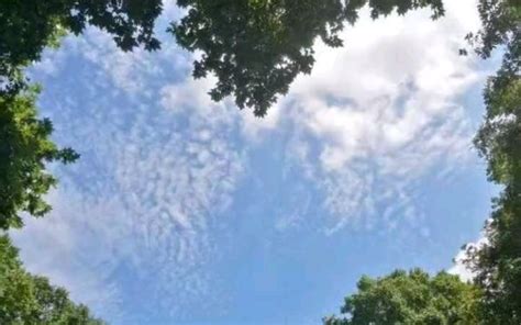 记录 哔哩哔哩 bilibili