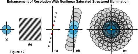 Zeiss Microscopy Online Campus Superresolution Structured Illumination Microscopy